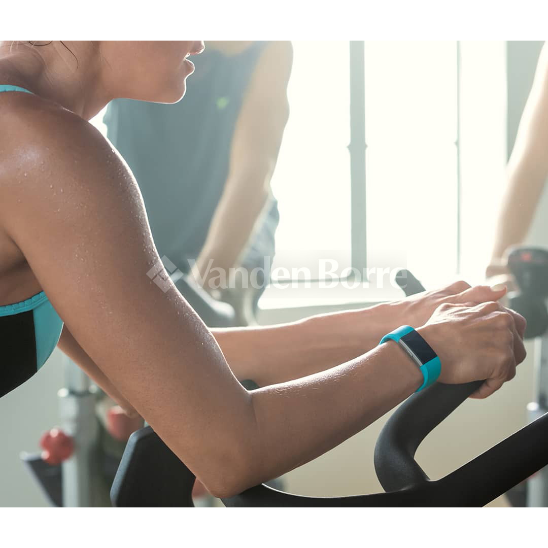 FITBIT CHARGE 2 TURQUOISE LARGE chez Vanden Borre: comparez et achetez ...