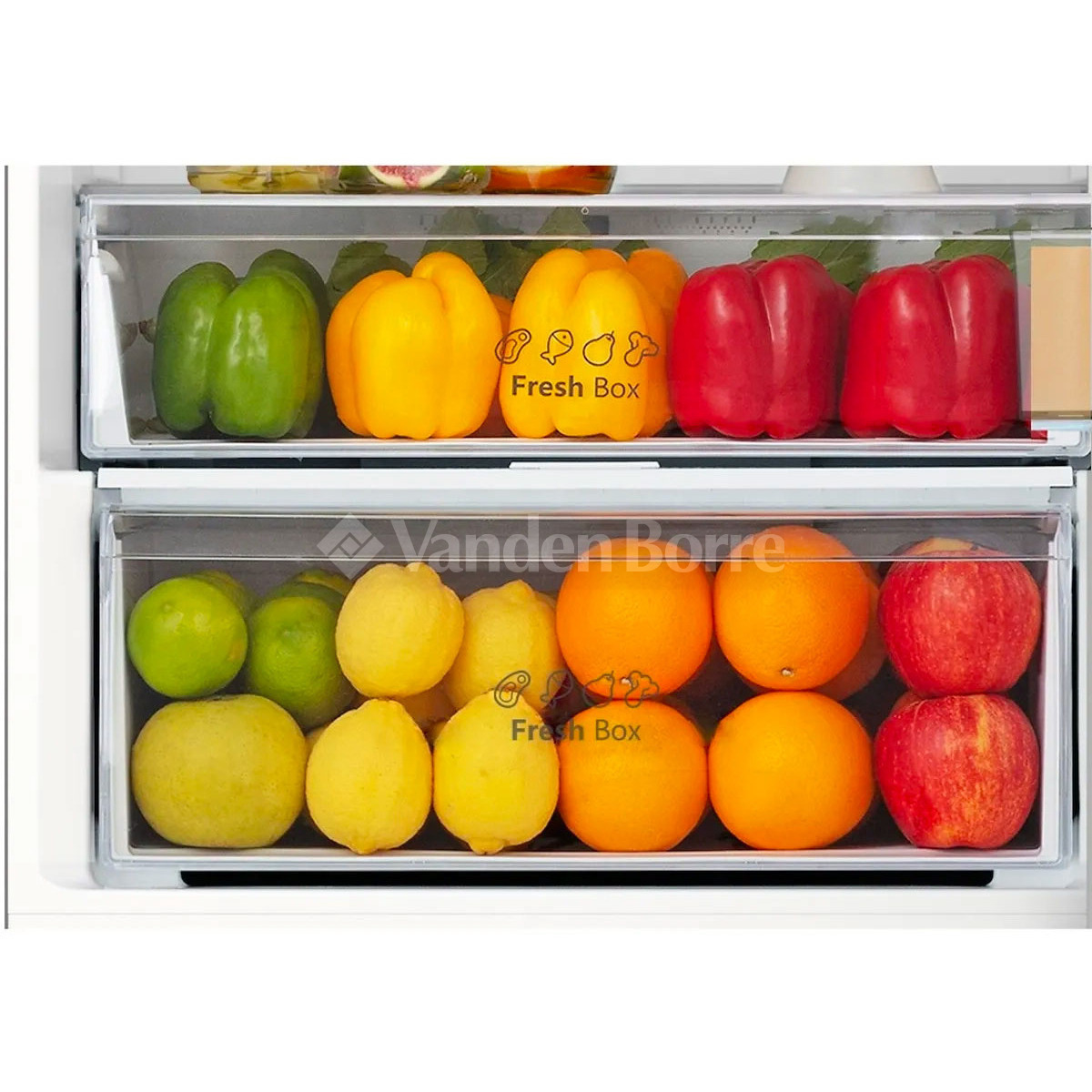 Vanden Borre - Outlet - HISENSE RB440N4ACC