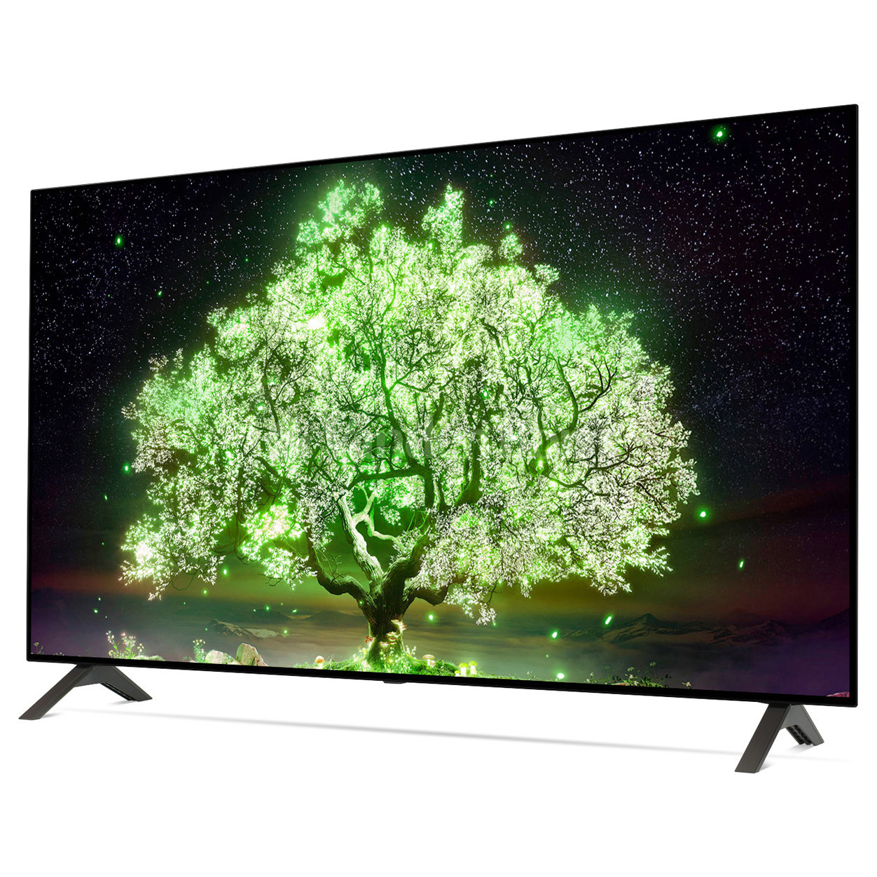 Vanden Borre - Tweede keuze - LG OLED48A16LA