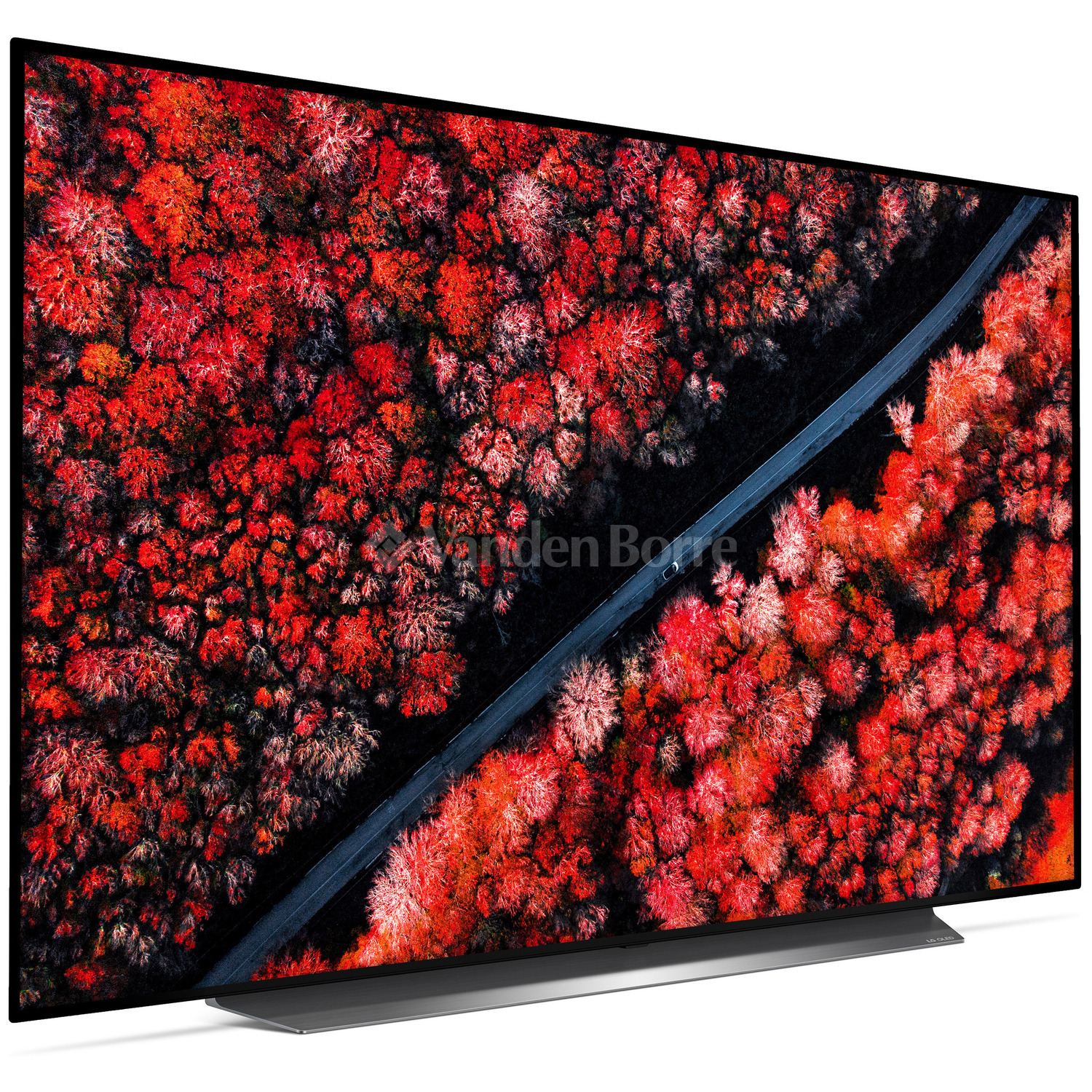 Vanden Borre - Tweede keuze - LG OLED55C9PLA