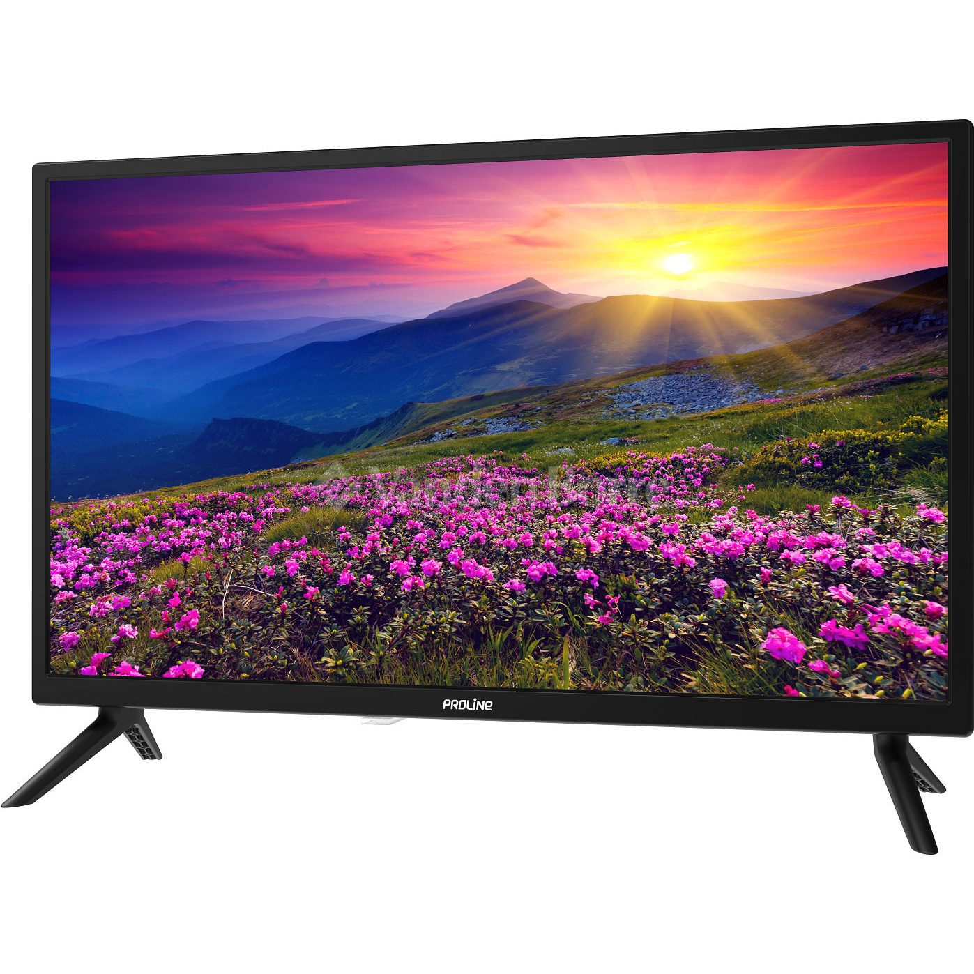 PROLINE TV HD 24 INCH L2420HD (2023) | Vanden Borre