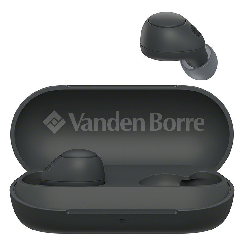 SONY WFC700NB | Vanden Borre