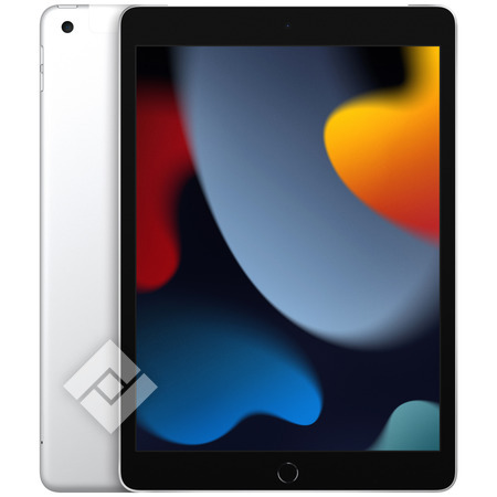 APPLE TABLET iPad (2021) 10.2 inch 256GB Wi-Fi + 4G Silver | Vanden Borre